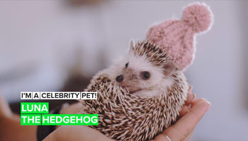 Quickstartstream.com