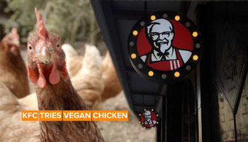 Quickstartstream.com